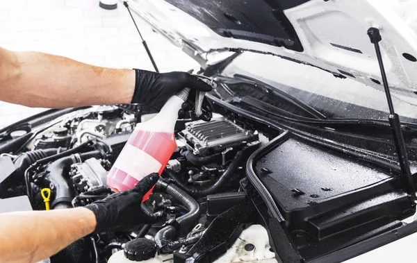 Car engine cleaning Stock Photos, Royalty Free Car engine cleaning ...