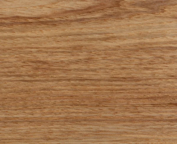 100,000 Satinwood Vector Images | Depositphotos