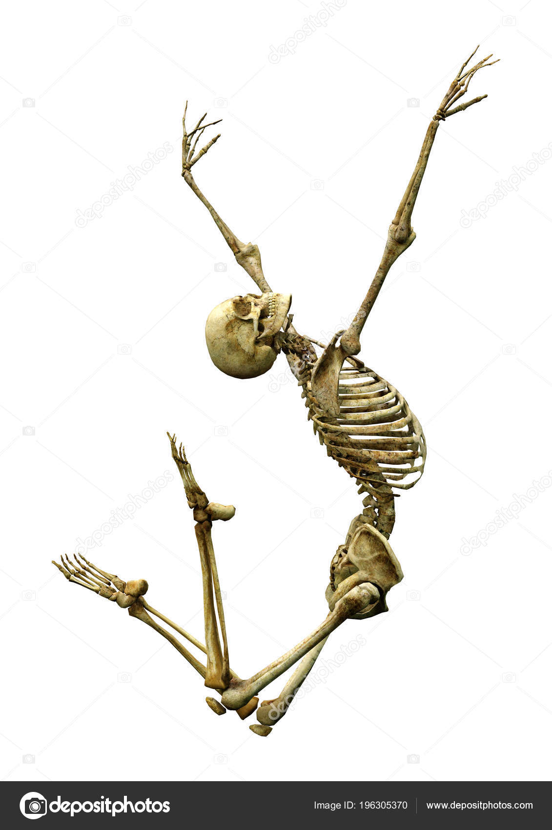 Rendering Human Skeleton Isolated White Background — Stock Photo ...