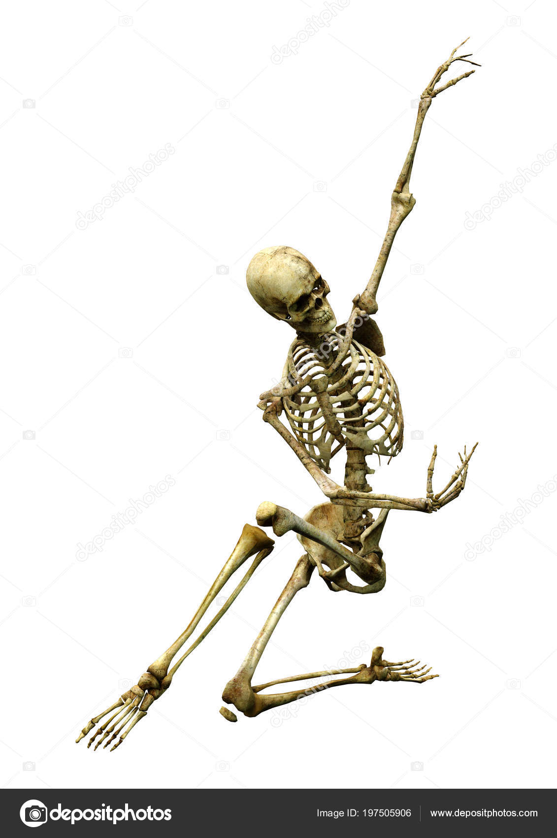 Rendering Human Skeleton Isolated White Background Stock Photo by ...