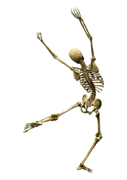 Disney pocahontas wrestling defeated skeleton stepping over chest fotos ...