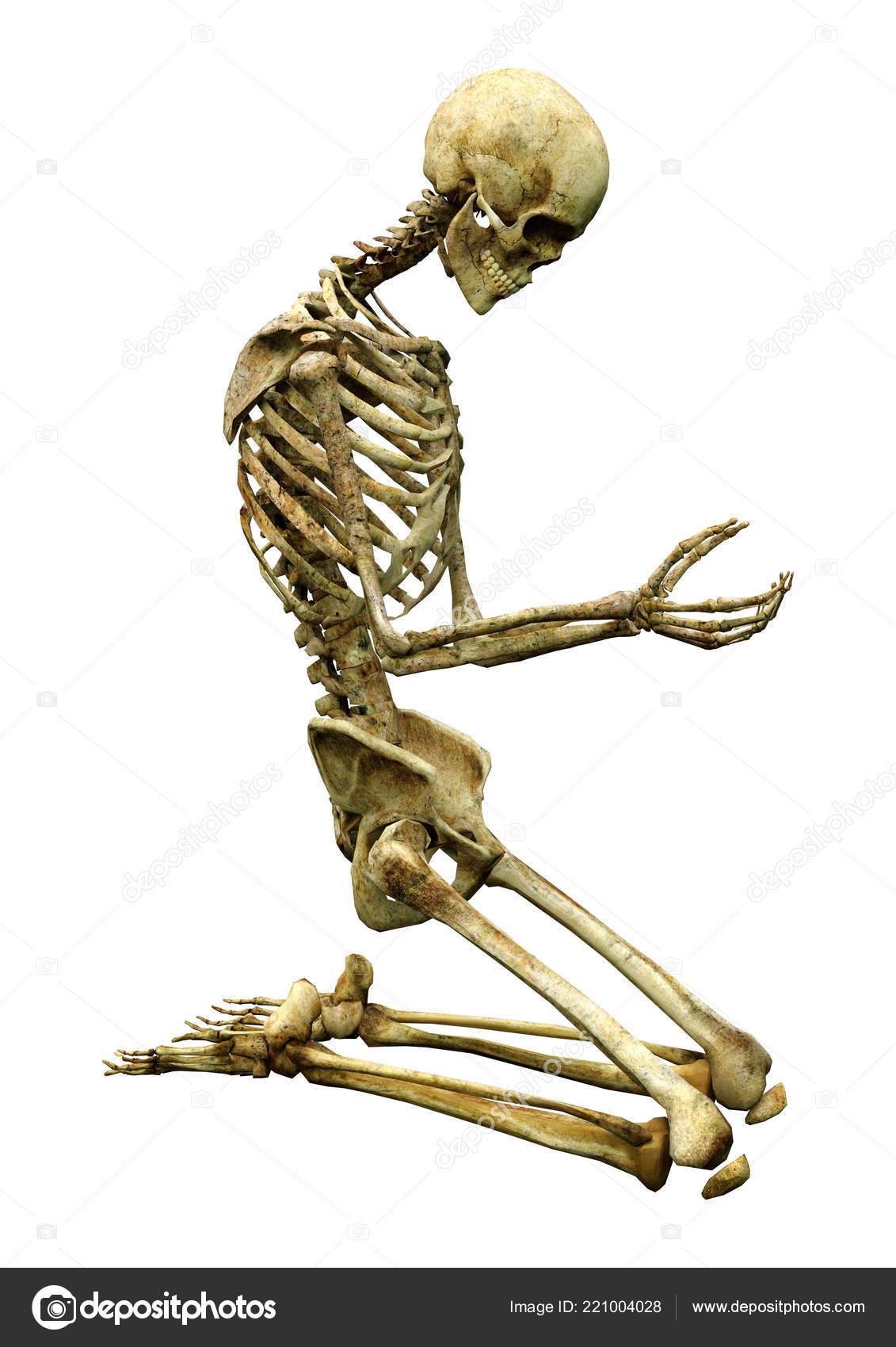 Rendering Human Skeleton Isolated White Background — Stock Photo ...