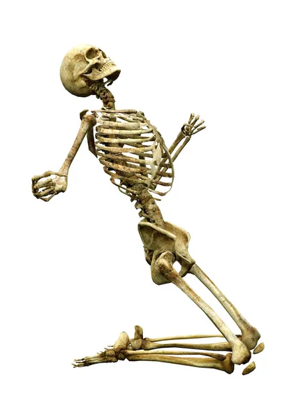 Crouching skeleton — Stock Photo © homeworks255 #10197963