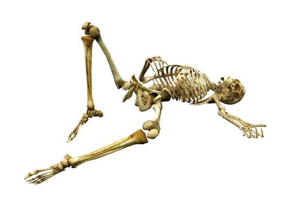 Crouching skeleton Stock Photo by ©homeworks255 10197963