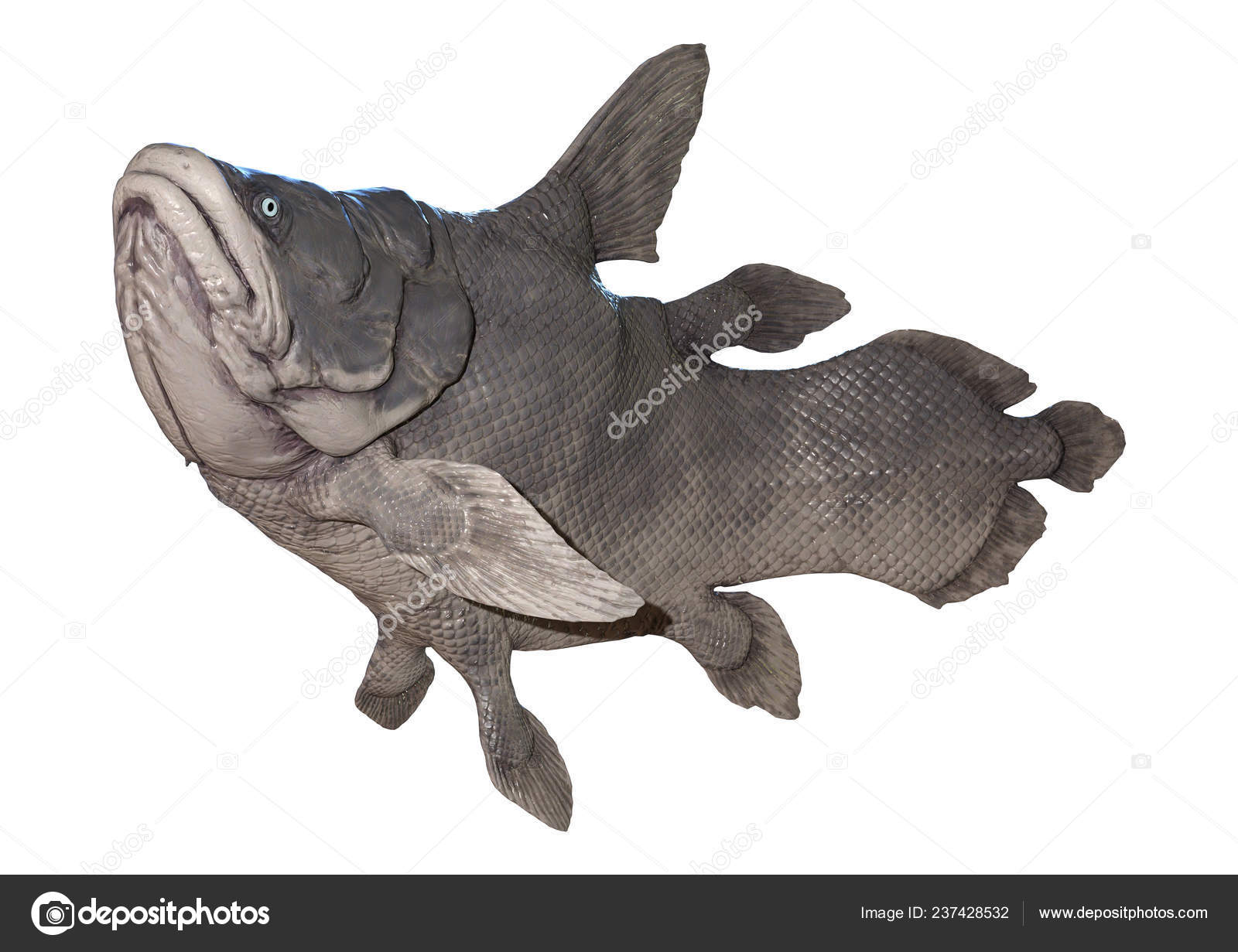 Prehistoric Fish Coelacanth