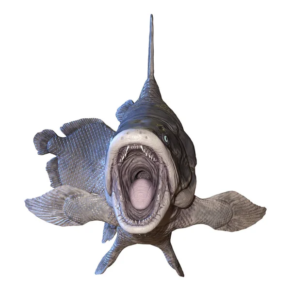 3D Rendering Mawsonia Fish on White Stock Photo by ©PhotosVac 250506416