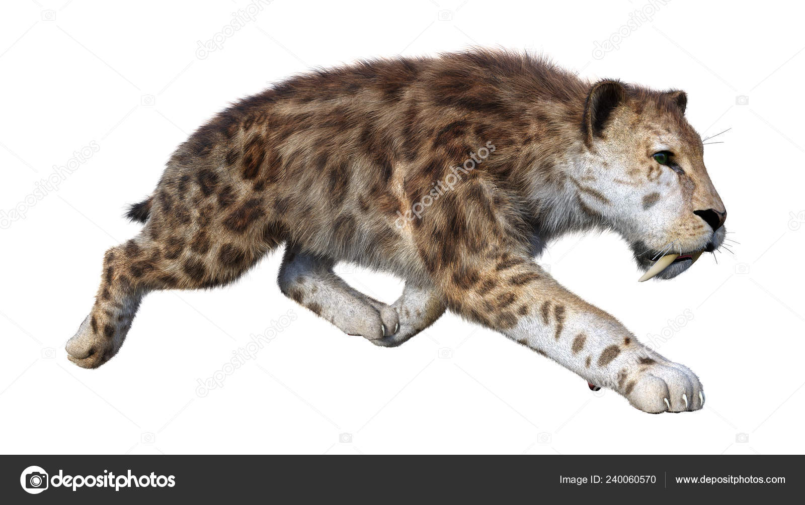 Rendering Sabertooth Tiger Isolated White Background Stock Photo by ...