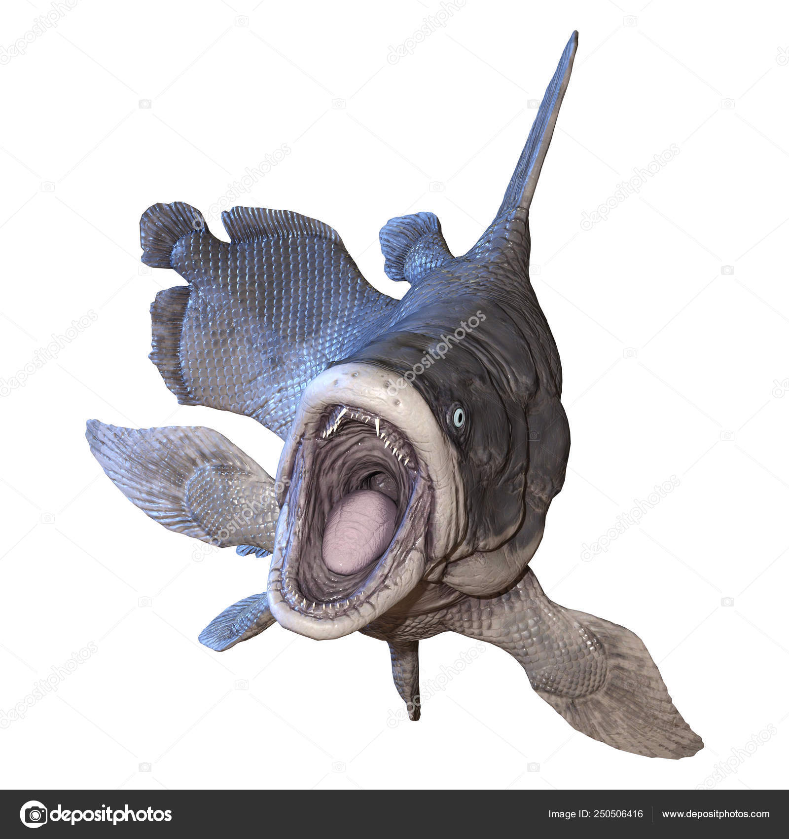 3D Rendering Mawsonia Fish on White Stock Photo by ©PhotosVac 250506416