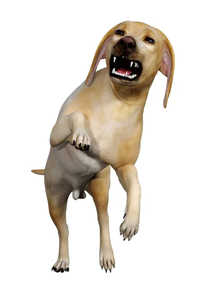 Constipated Dog Meme