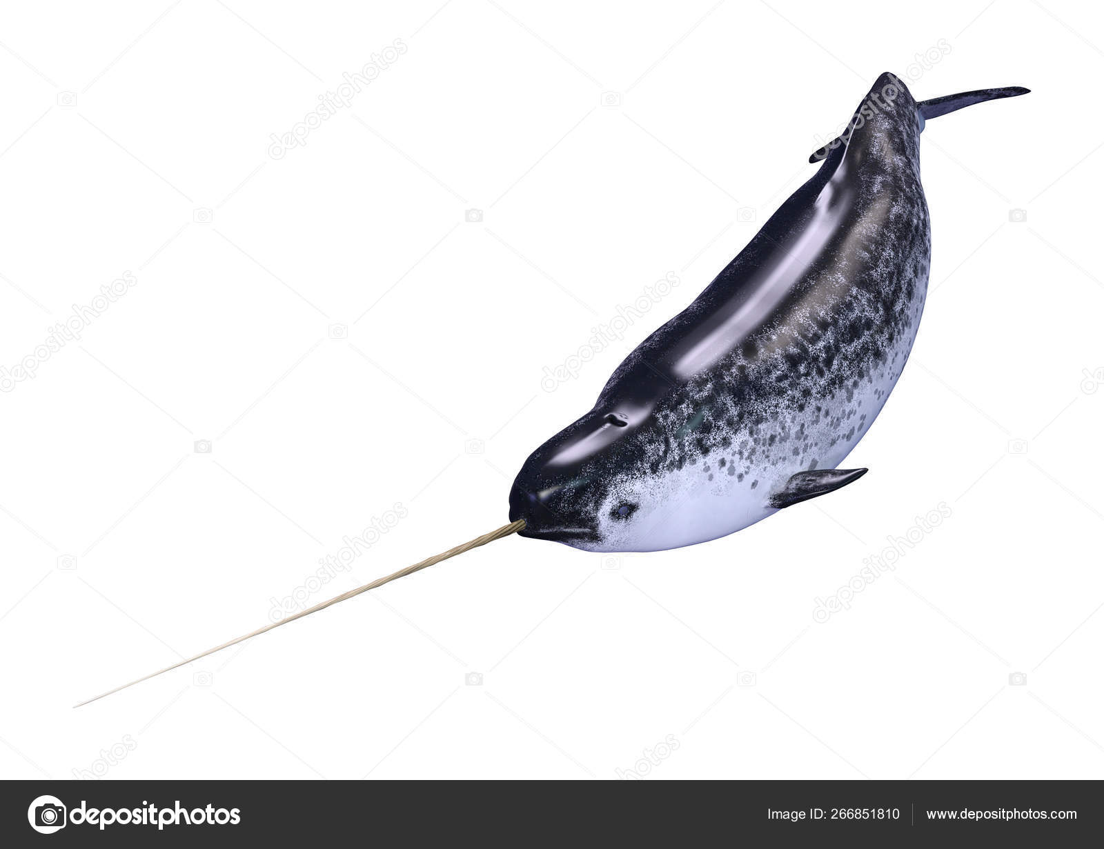3D Rendering Male Narwhal on White — Stock Photo © PhotosVac #266851810