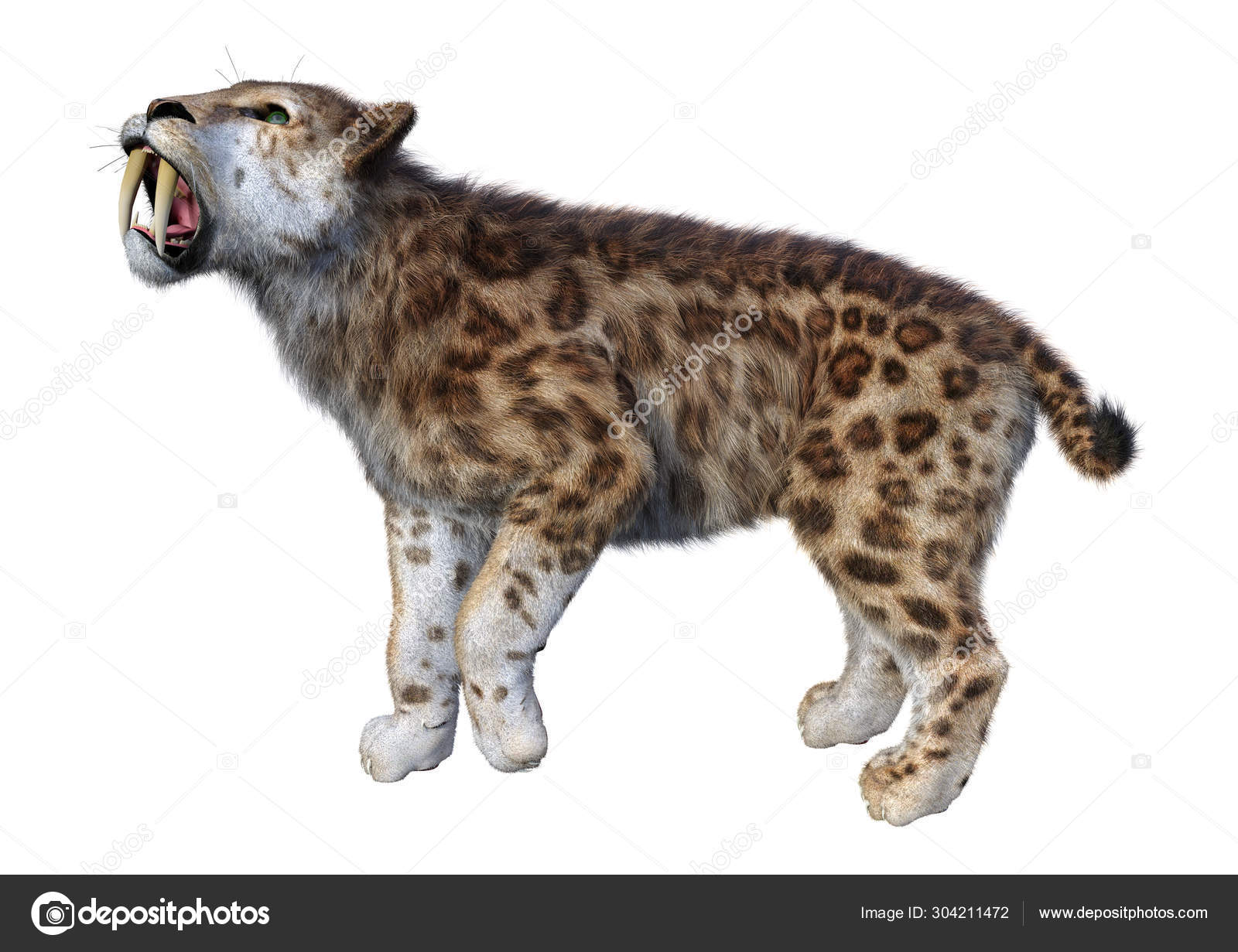 3D Rendering Sabertooth Tiger on White Stock Photo by ©PhotosVac 304211472