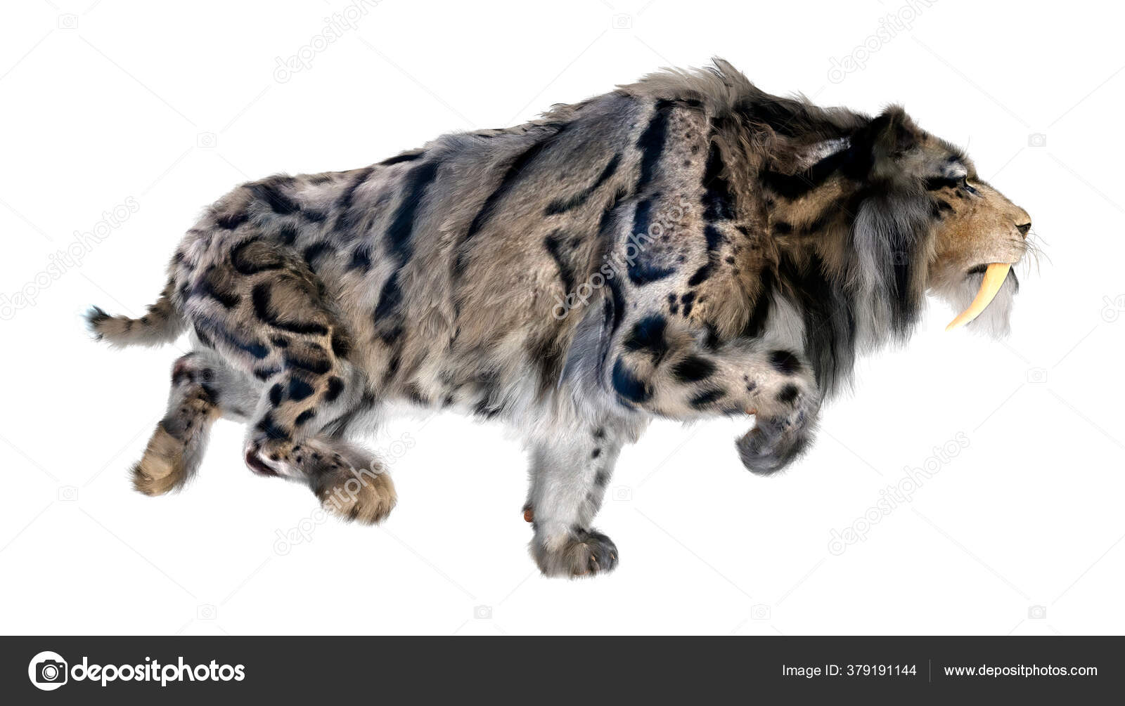 Rendering Sabertooth Tiger Isolated White Background Stock Photo by ...