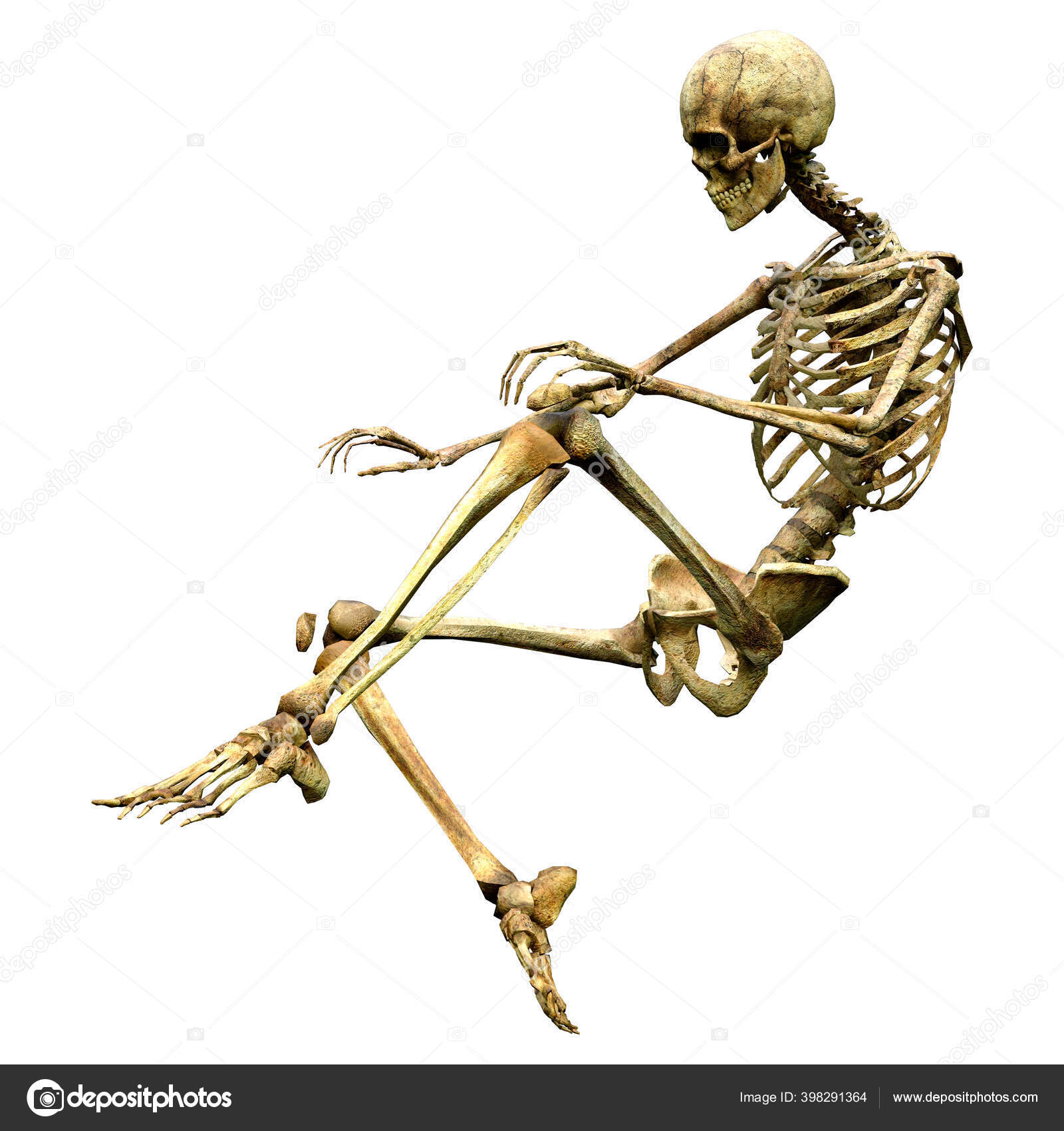 Rendering Human Skeleton Isolated White Background — Stock Photo ...