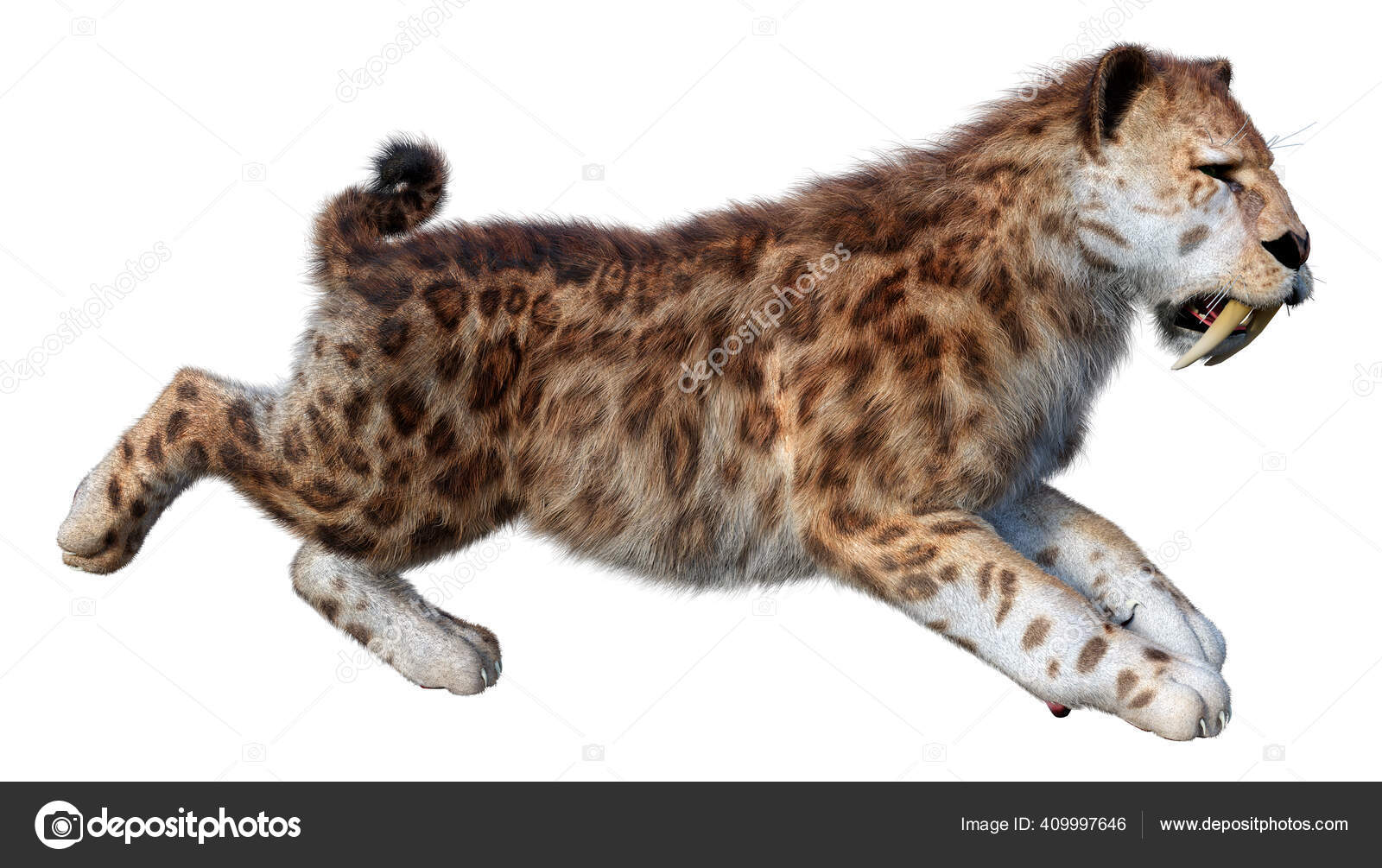 Rendering Sabertooth Tiger Isolated White Background — Stock Photo ...
