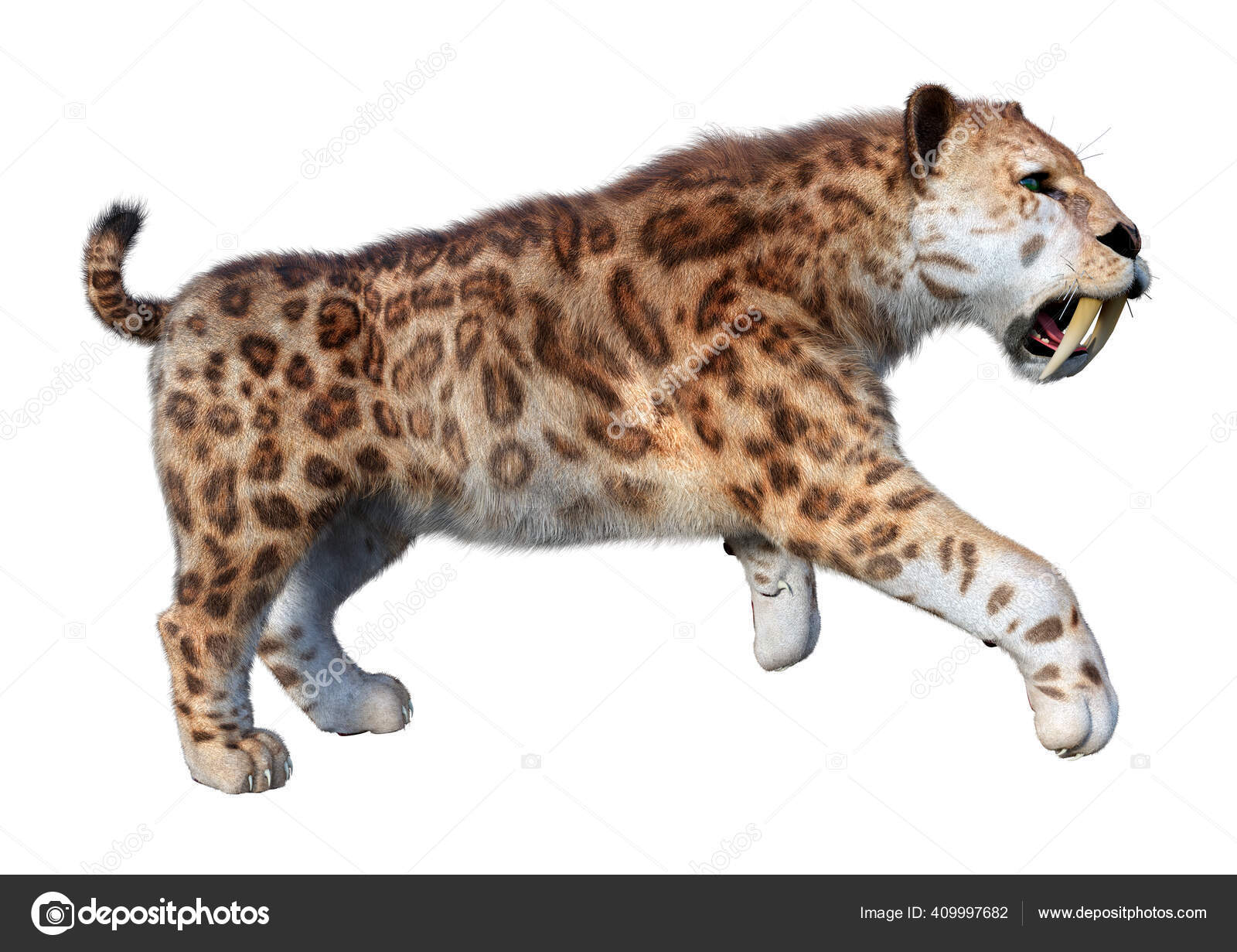 Rendering Sabertooth Tiger Isolated White Background Stock Photo by ...
