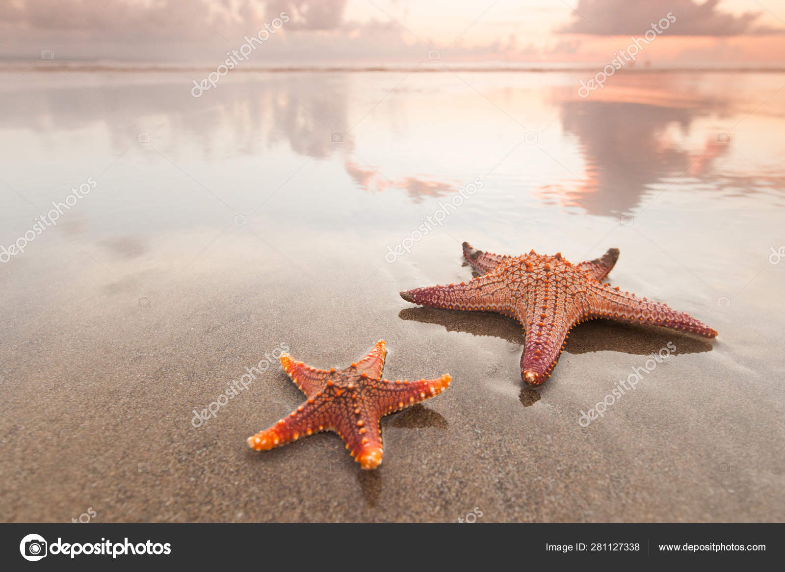 Two starfish on sea beach at sunset Stock Photo by ©yellow2j 281127338