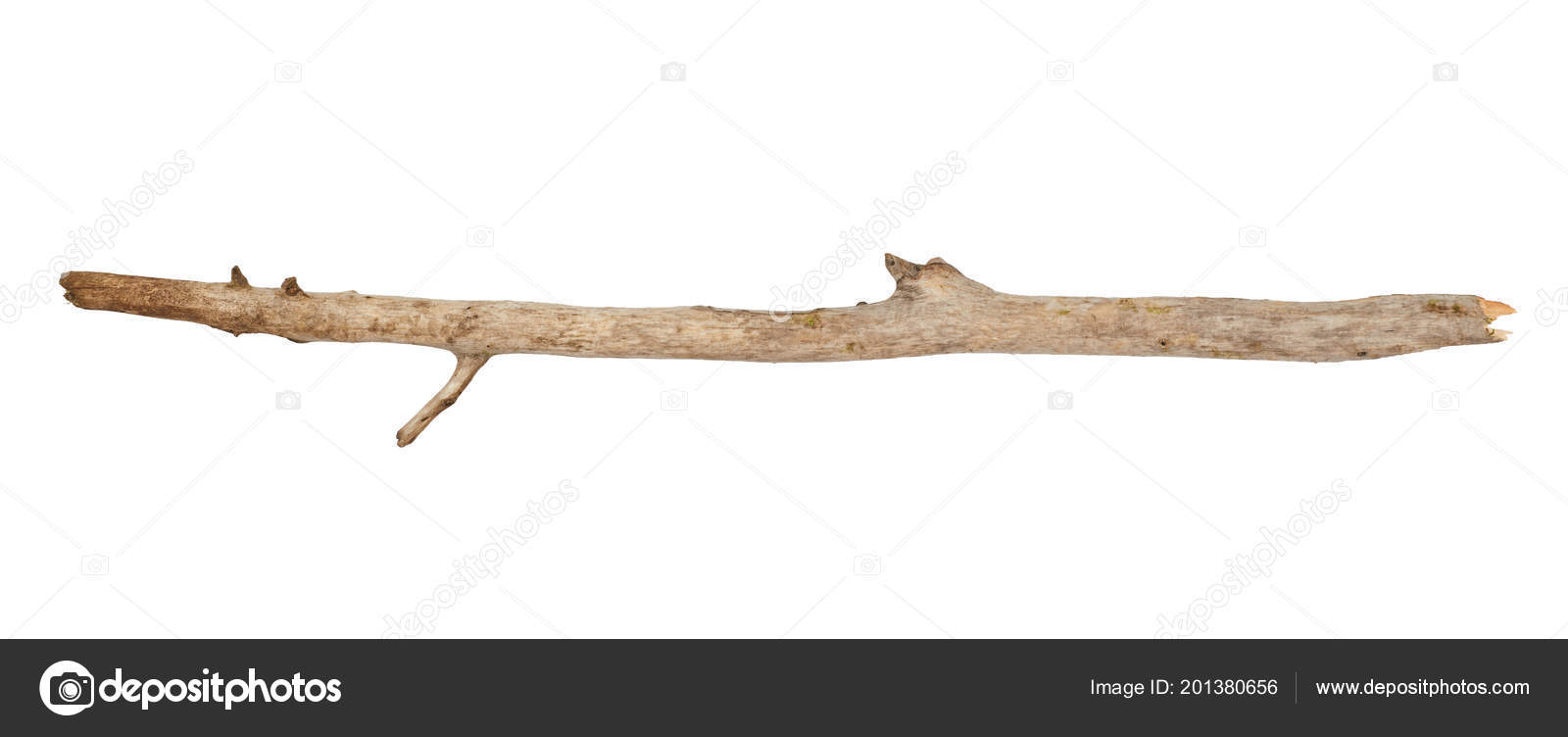 Tree Stick Isolated White Background — Stock Photo © Nik_Merkulov ...