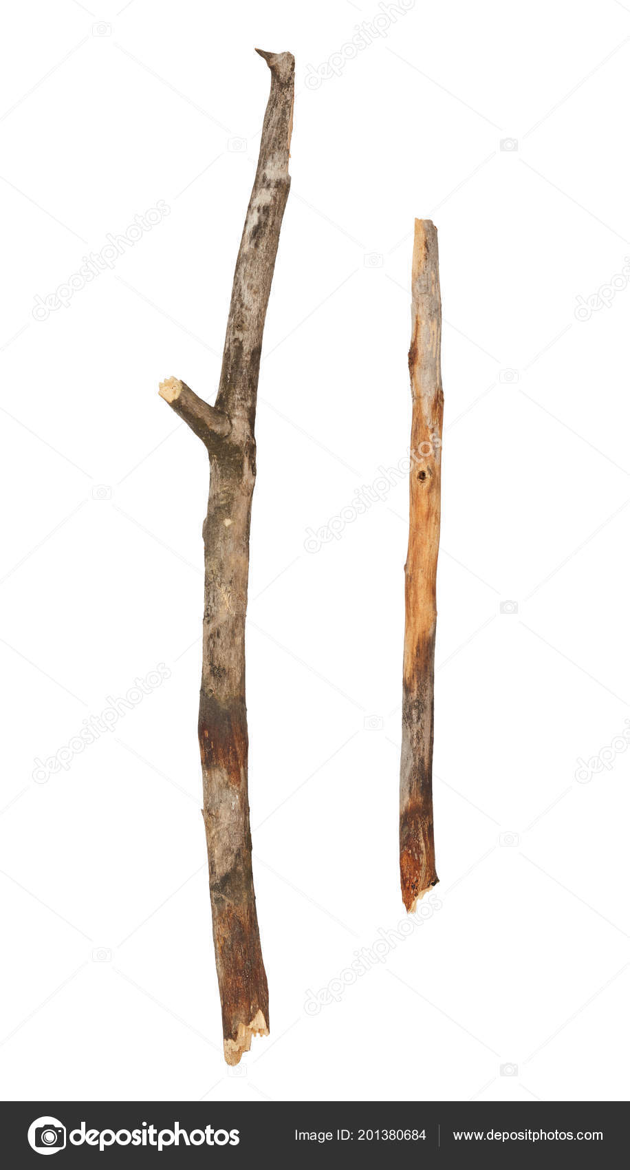 Tree Sticks Isolated White Background Stock Photo by ©Nik_Merkulov ...
