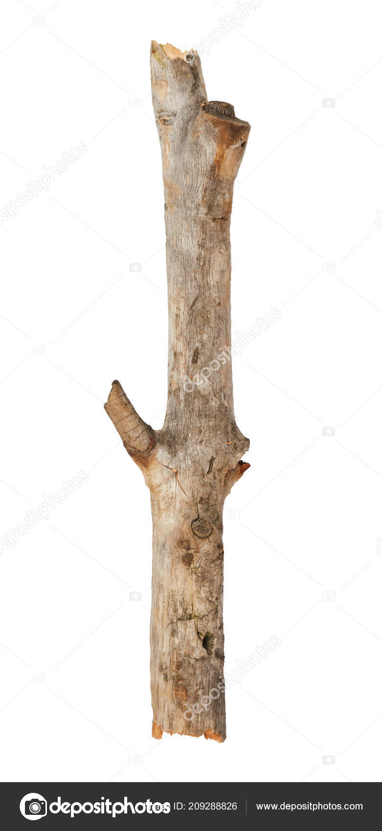 Wooden Tree Stick