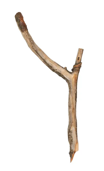 Tree Stick Isolated White Background — Stock Photo © Nik_Merkulov ...