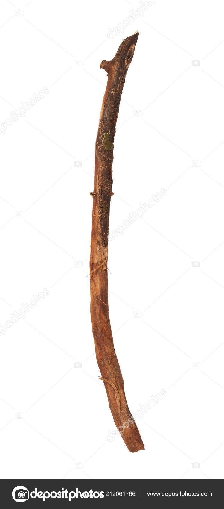 Tree Stick Isolated White Background — Stock Photo © Nik_Merkulov ...
