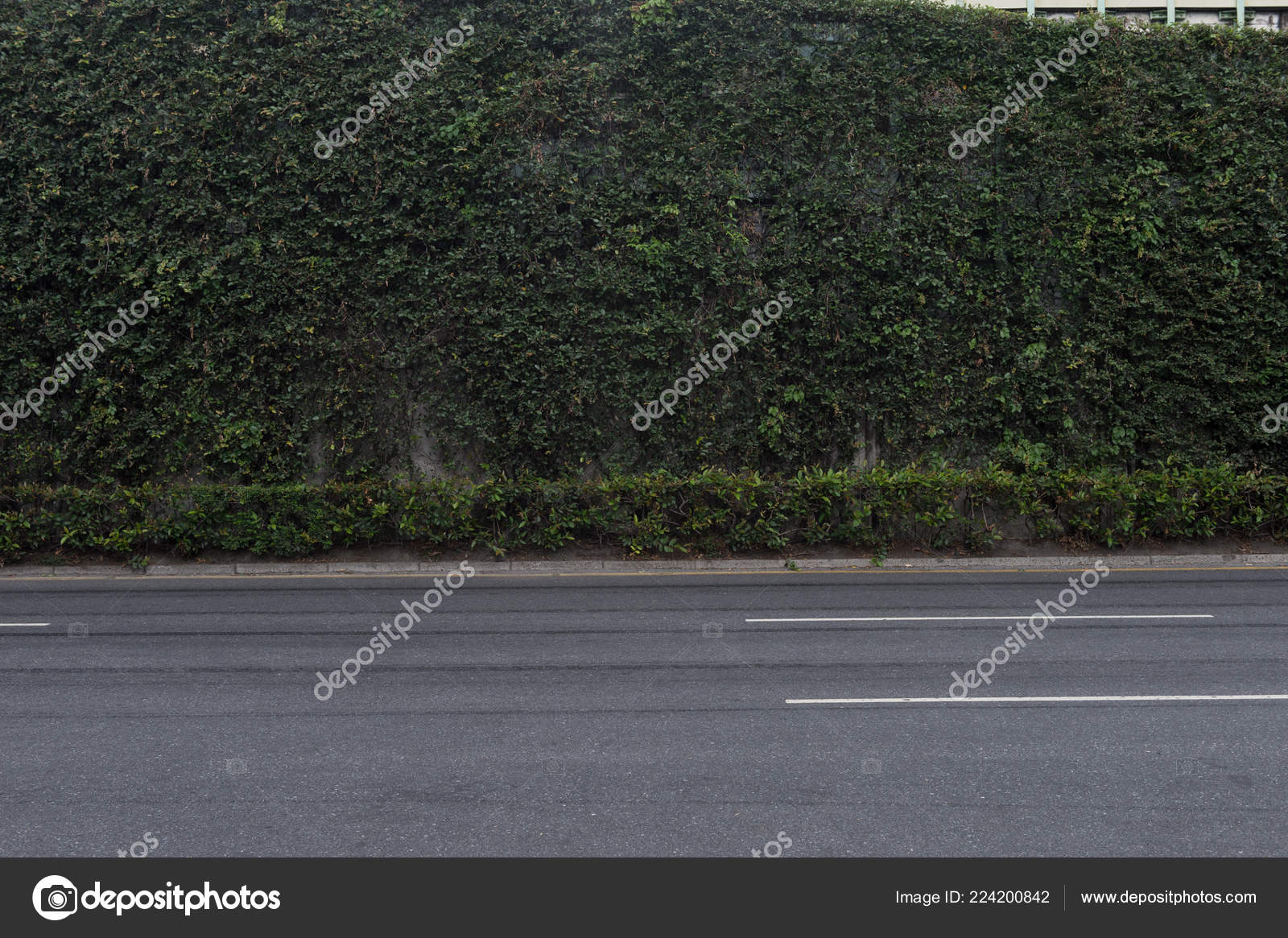 Empty Sidewalk Side View