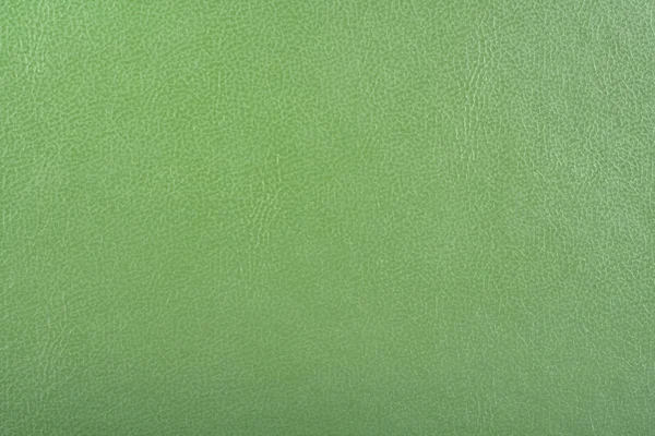 Green leather book Stock Photos, Royalty Free Green leather book Images ...