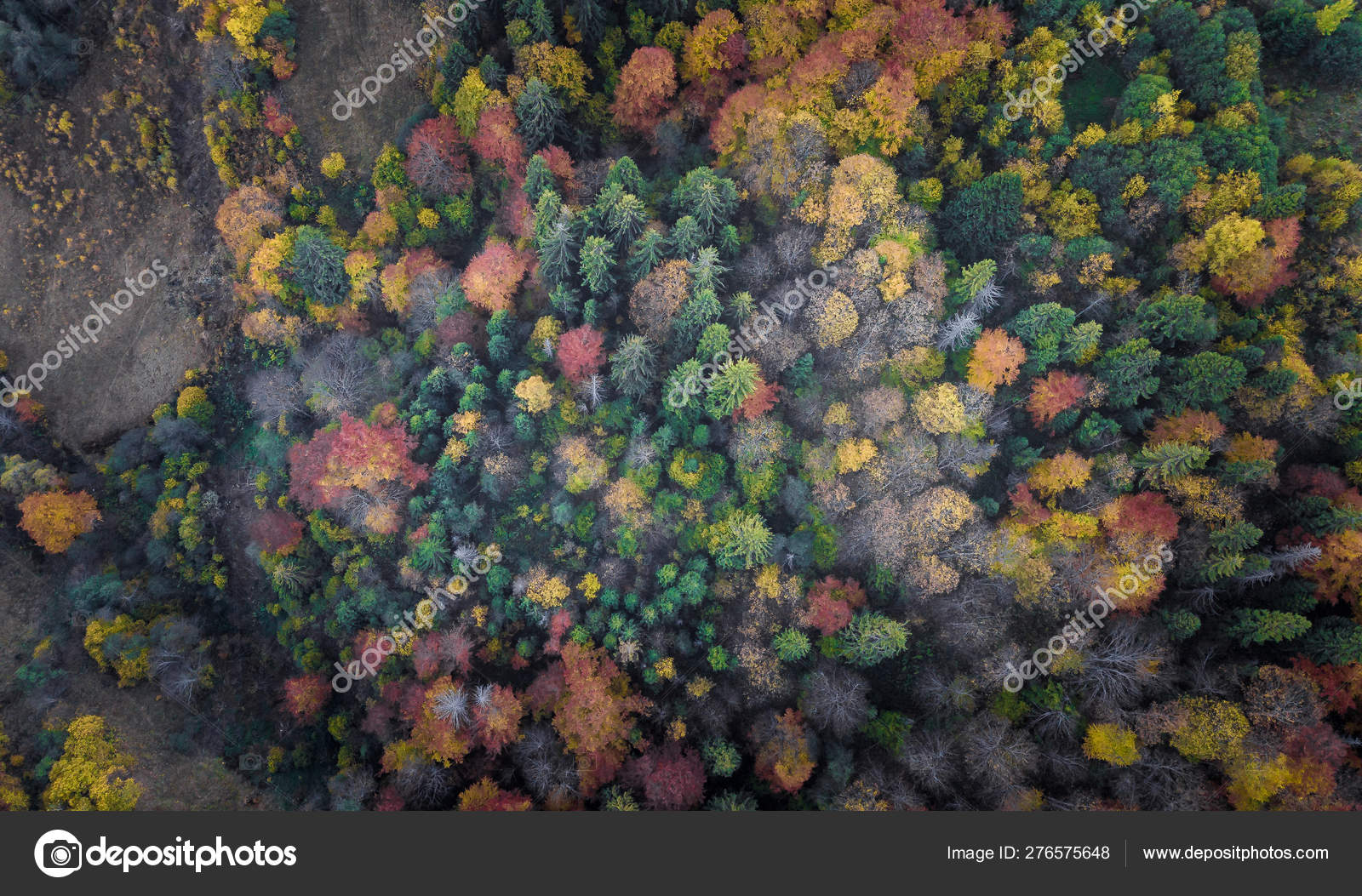 The forest trees from the top view Stock Photo by ©majcot 276575648