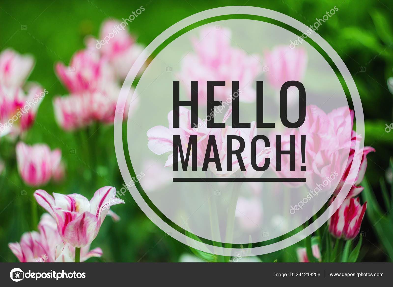 Hello March Images