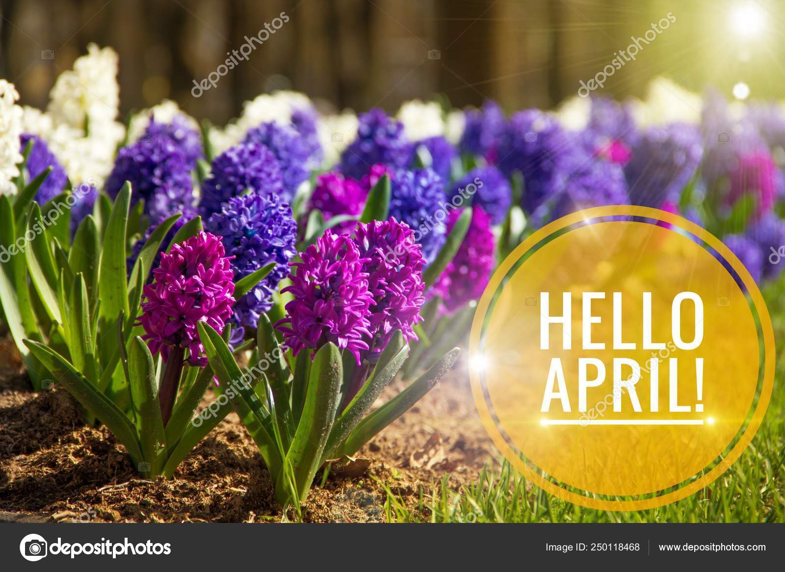 Hello April Pictures