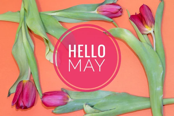 Banner Hello May. Greeting the new month. Picture with flowers. Text on ...