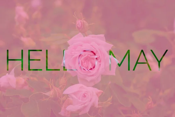 Hello may Images - Search Images on Everypixel