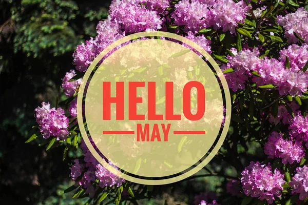 Banner hello may. hello may text on sky background. text against the ...