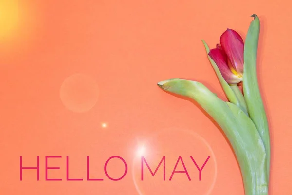 Hello may Images - Search Images on Everypixel