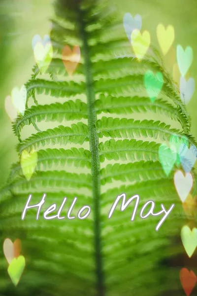 Hello may Images - Search Images on Everypixel
