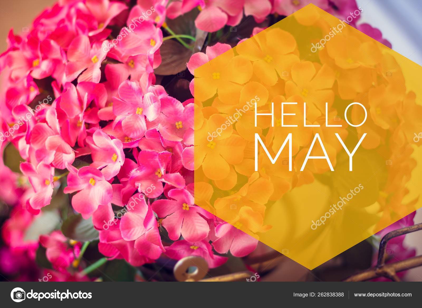 Hello May Wallpaper
