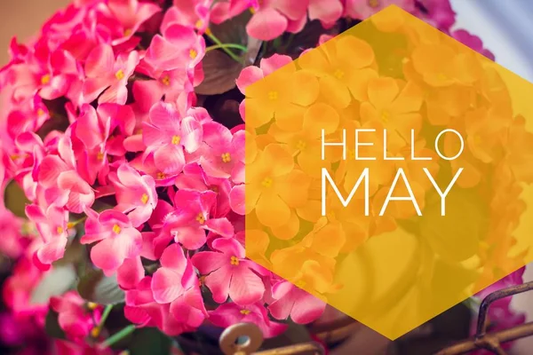 Banner Hello June New Season Text Photo Yellow Flowers — Stock Photo ...