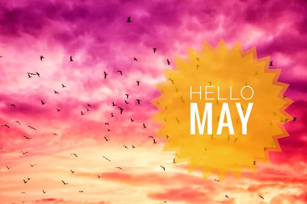 Welcome May