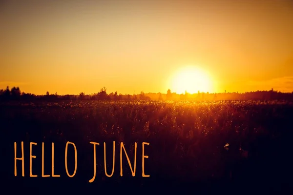 Hello june Stock Photos, Royalty Free Hello june Images | Depositphotos