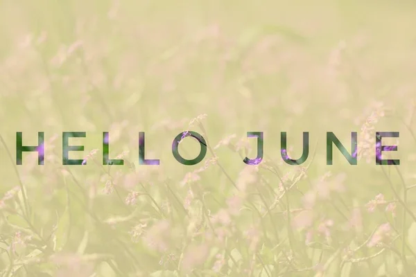 Hello june Stock Photos, Royalty Free Hello june Images | Depositphotos