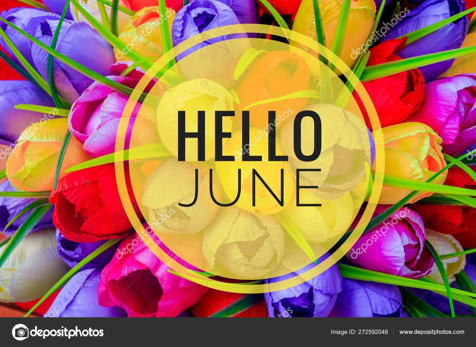 Hello June Images