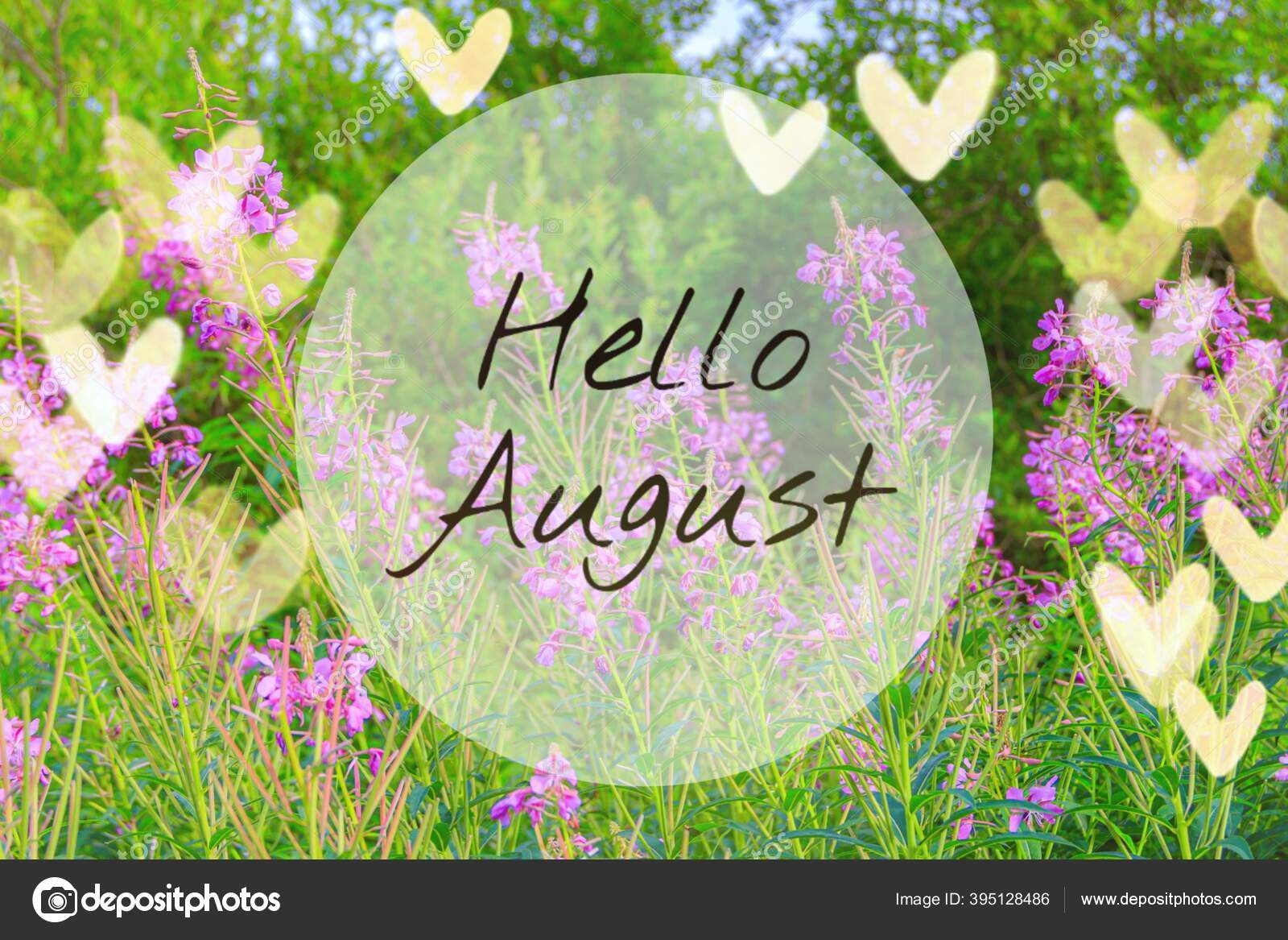 Hello August Photography