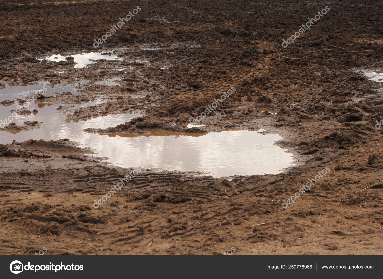Brown Mud Puddle Ground — Stock Photo © notime57@gmail.com #259778966