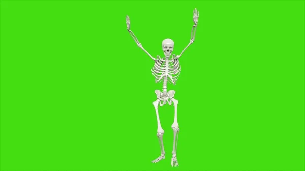 28 Green screen human torso Stock Photos, Green screen human torso ...