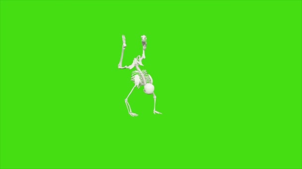 Skeleton - various poses - green screen effect — Stock Video ...