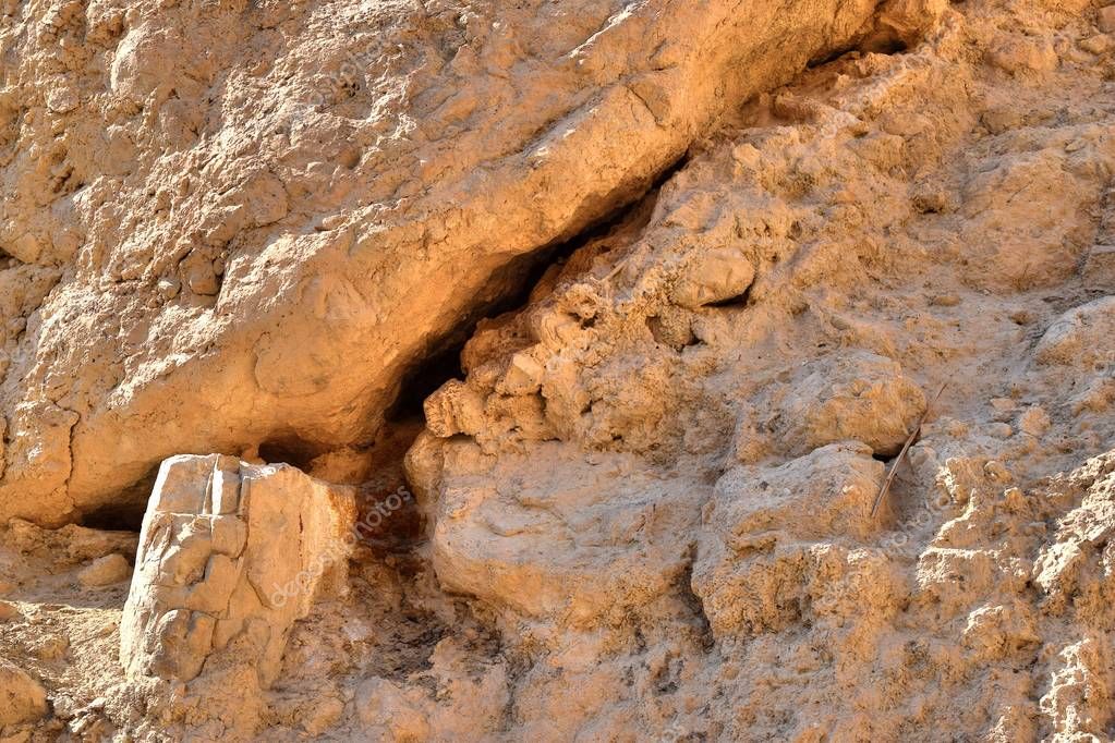 1 * * * Ein Gedi. Israel. tierra santa.Es una ciudad bíblica, y ahora ...