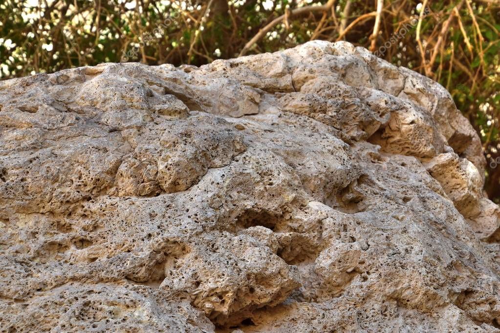 1 * * * Ein Gedi. Israel. tierra santa.Es una ciudad bíblica, y ahora ...