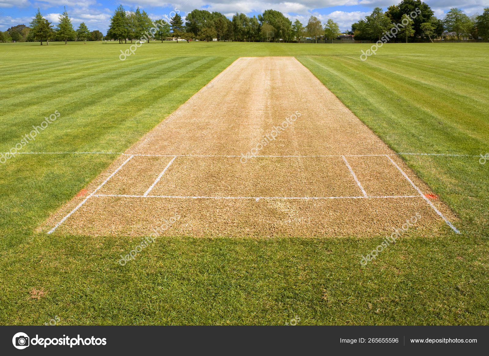 Cricket pitch sport grass field empty background — Stock Photo © natam ...