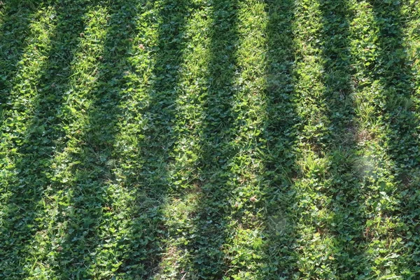 String util split deliminator method in pega rpa images libres de droit ...