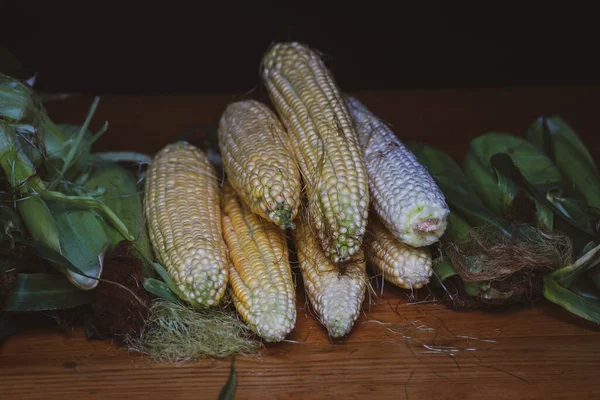 Maíz forraje Stock Photos, Royalty Free Maíz forraje Images | Depositphotos